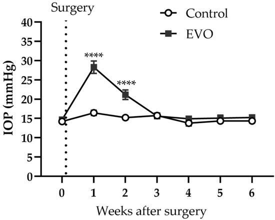 Intraocular Pressure-Induced Endothelial Dysfunction of Retinal Blood ...