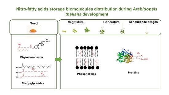 Antioxidants | Free Full-Text | Nitrated Fatty-Acids Distribution in ...
