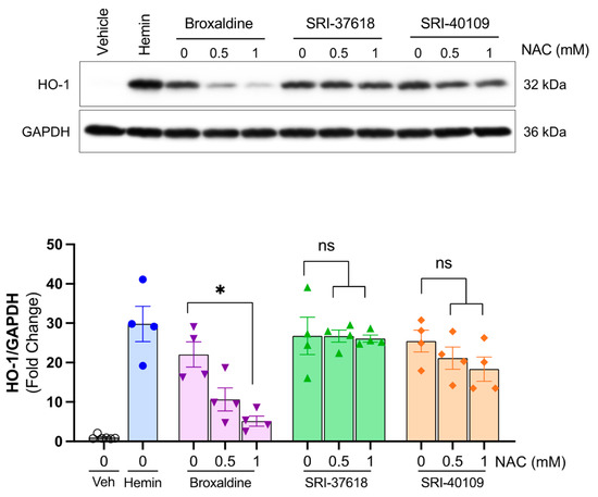 Identification of Cytoprotective Small-Molecule Inducers of Heme ...
