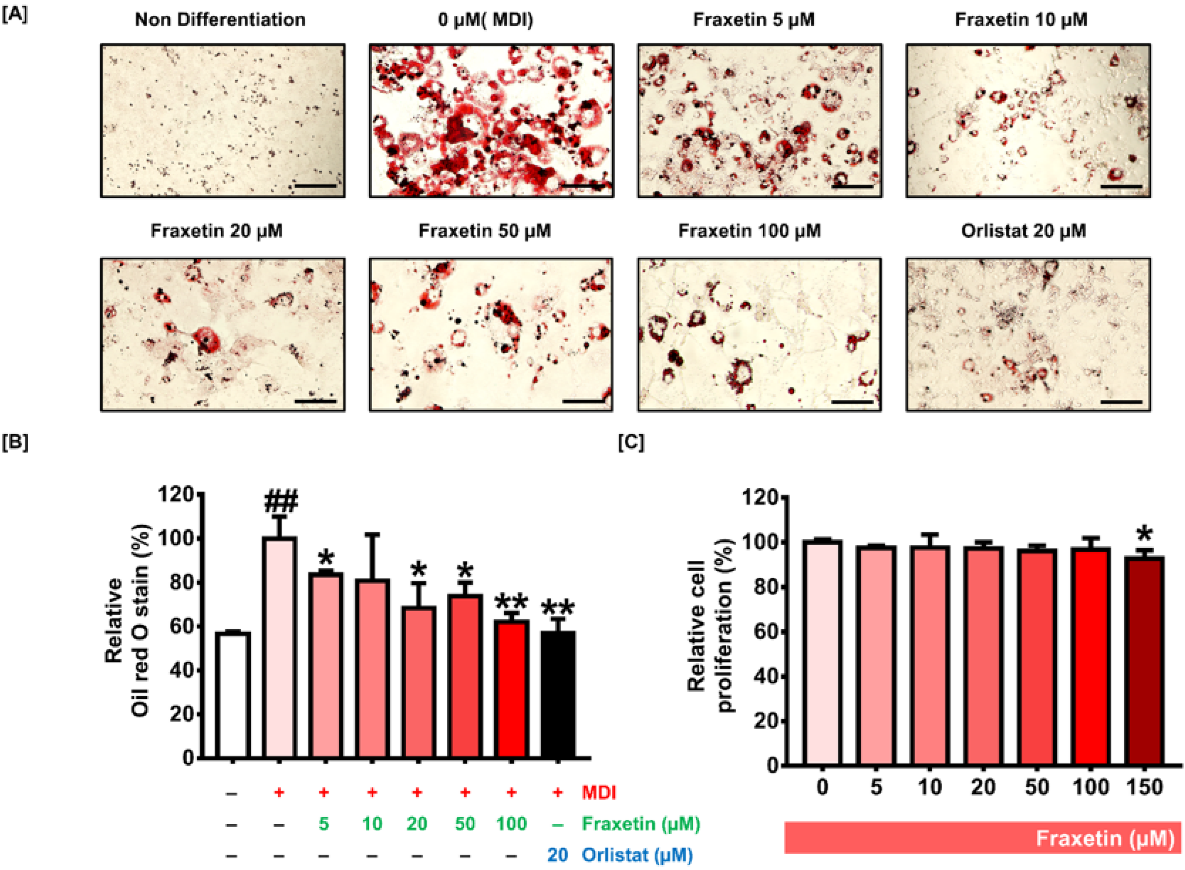 Antioxidants | Free Full-Text | Suppressive Effect of Fraxetin on Adipogenesis and Reactive ...