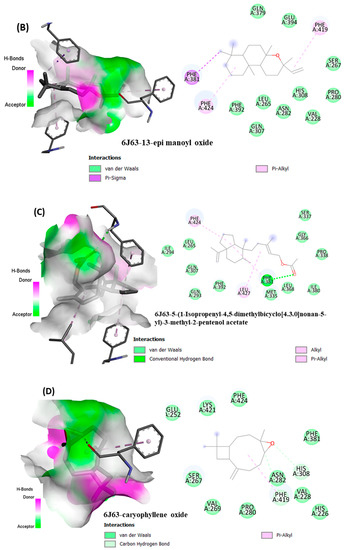 Antioxidants | Free Full-Text | Phytochemical Profile, In Vitro Bioactivity Evaluation, In ...