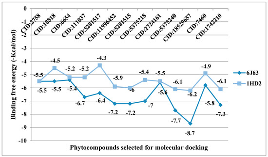 Antioxidants | Free Full-Text | Phytochemical Profile, In Vitro Bioactivity Evaluation, In ...