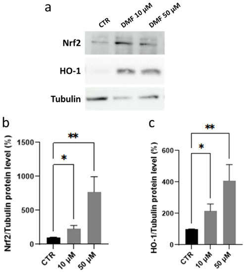Antioxidants | Free Full-Text | Dimethyl Fumarate Triggers the ...