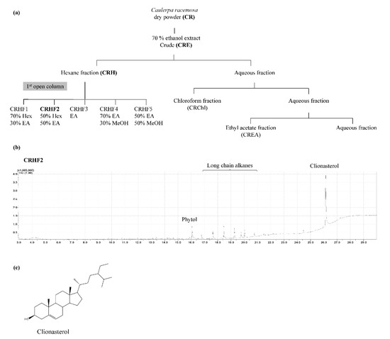 Clionasterol-Rich Fraction of Caulerpa racemosa against Particulate ...