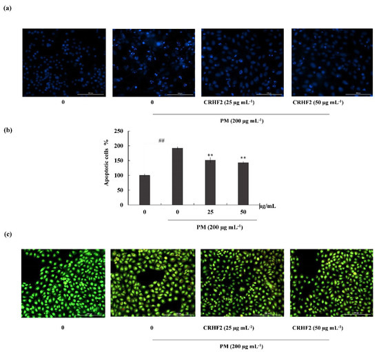 Clionasterol-Rich Fraction of Caulerpa racemosa against Particulate ...