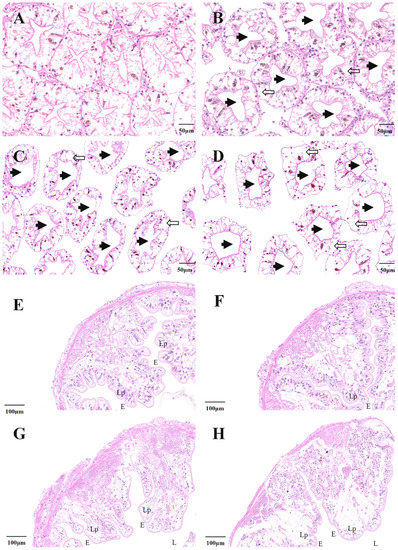 Mercury Induced Tissue Damage, Redox Metabolism, Ion Transport ...