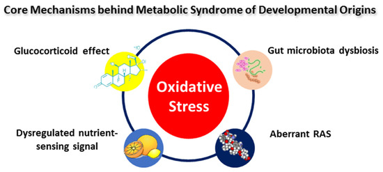 Metabolic Syndrome Programming and Reprogramming: Mechanistic Aspects ...