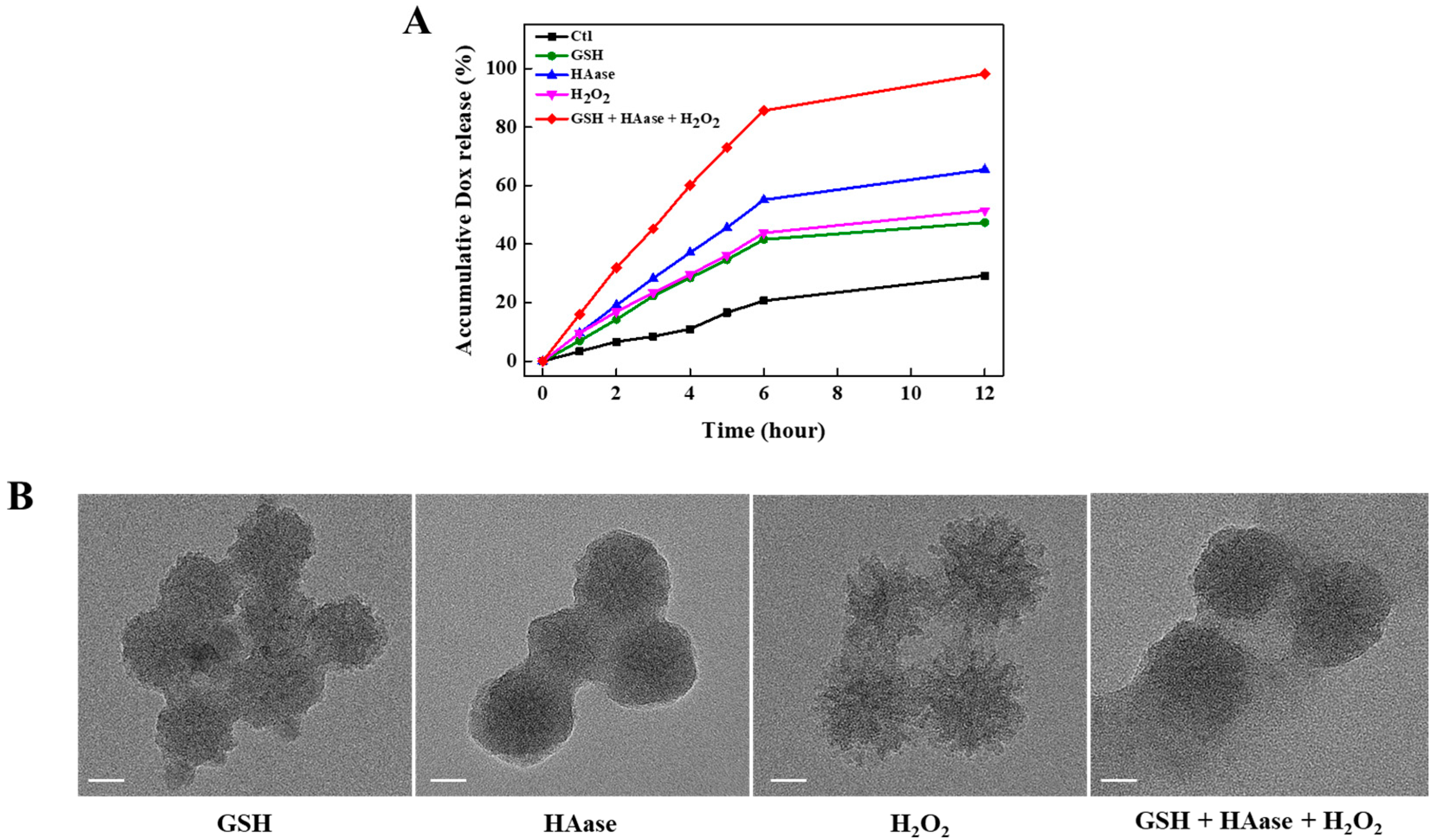Antioxidant, Enzyme, and H2O2-Triggered Melanoma Targeted Mesoporous ...
