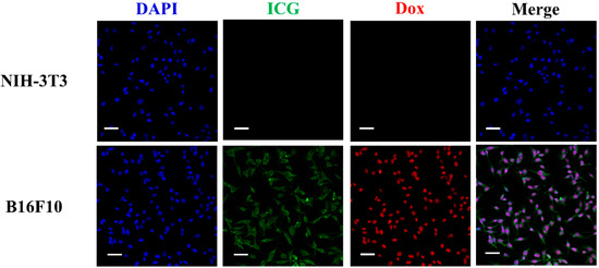 Antioxidant, Enzyme, and H2O2-Triggered Melanoma Targeted Mesoporous ...