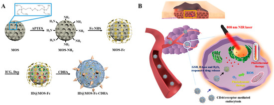 Antioxidant, Enzyme, and H2O2-Triggered Melanoma Targeted Mesoporous ...