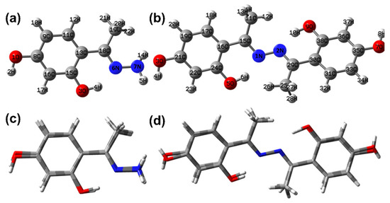 Exploration of Molecular Structure, DFT Calculations, and Antioxidant ...