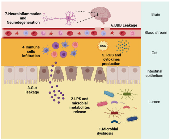 Neurodegenerative Microbially-Shaped Diseases: Oxidative Stress Meets ...
