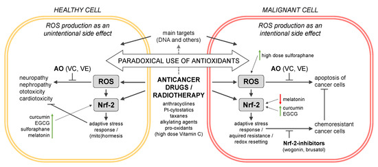 Antioxidants | Free Full-Text | The Self-Administered Use of ...