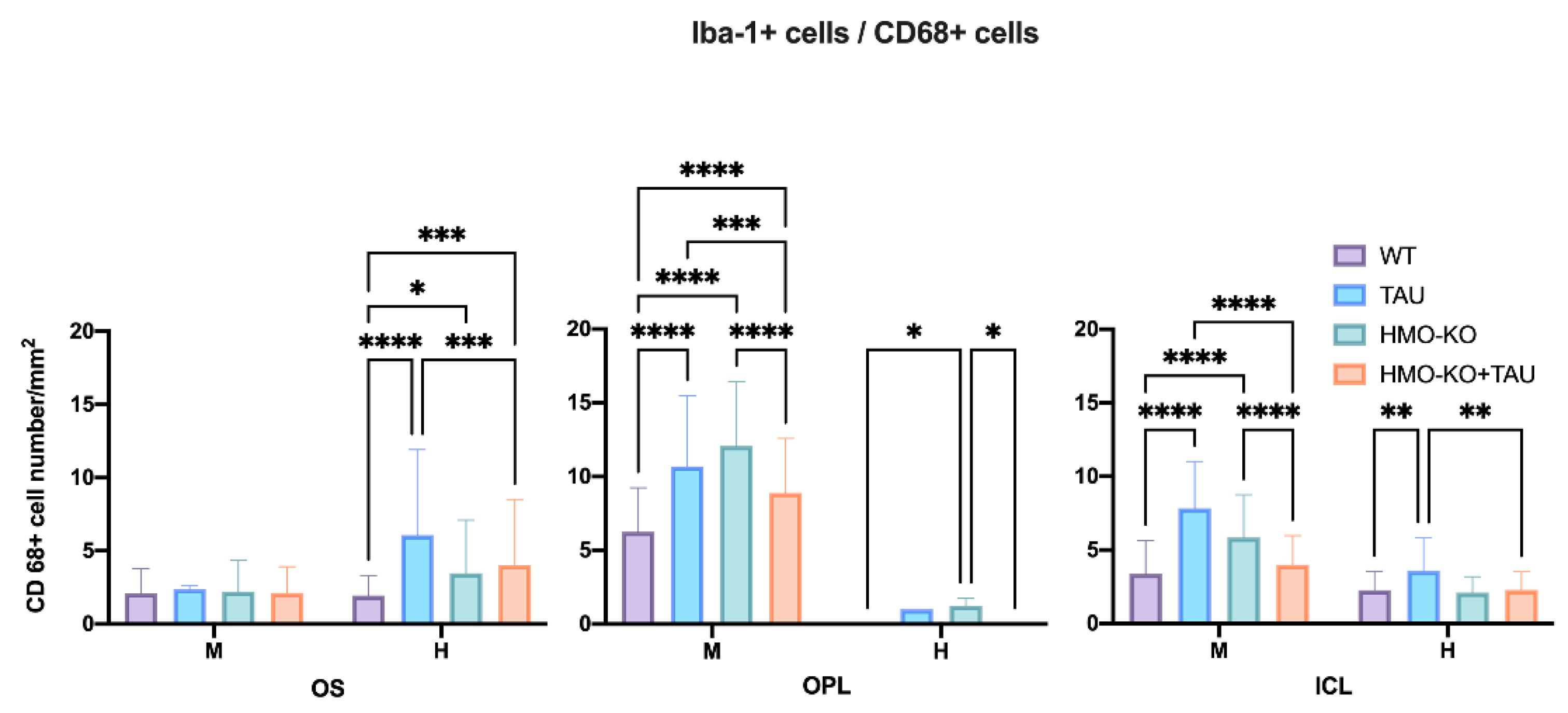 Microglial Hemoxygenase-1 Deletion Reduces Inflammation in the Retina ...