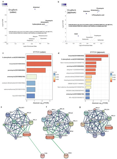 DPP9 as a Potential Novel Mediator in Gastrointestinal Virus Infection