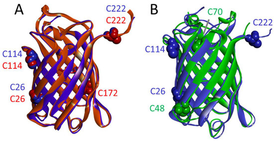 Nitric Oxide Sensing by a Blue Fluorescent Protein