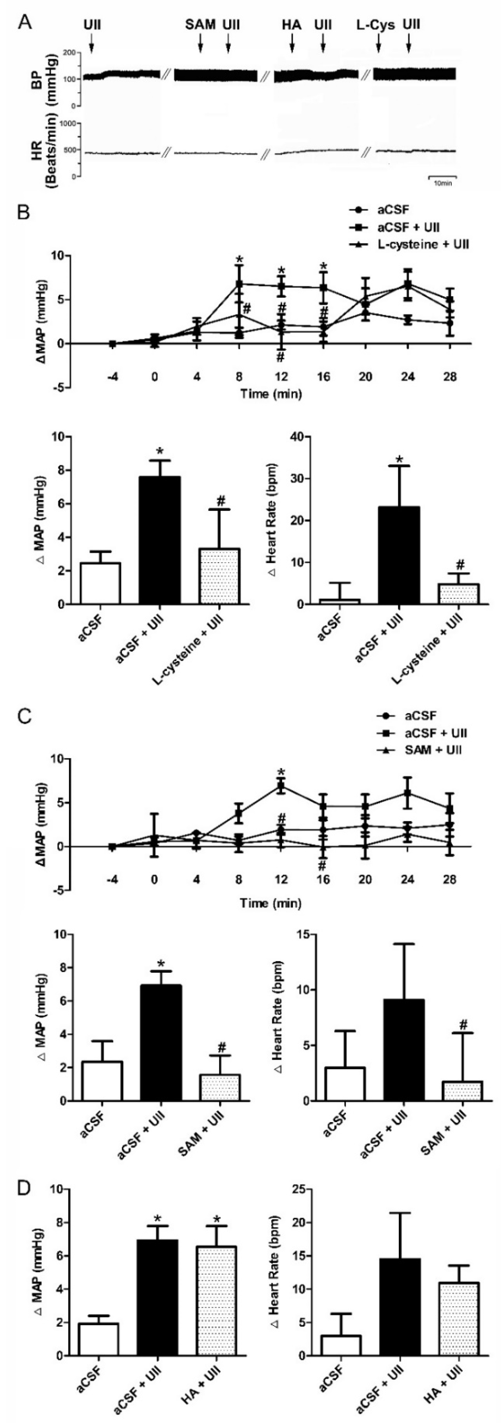 Antioxidants | Free Full-Text | The Inhibitory Role of Hydrogen Sulfide ...