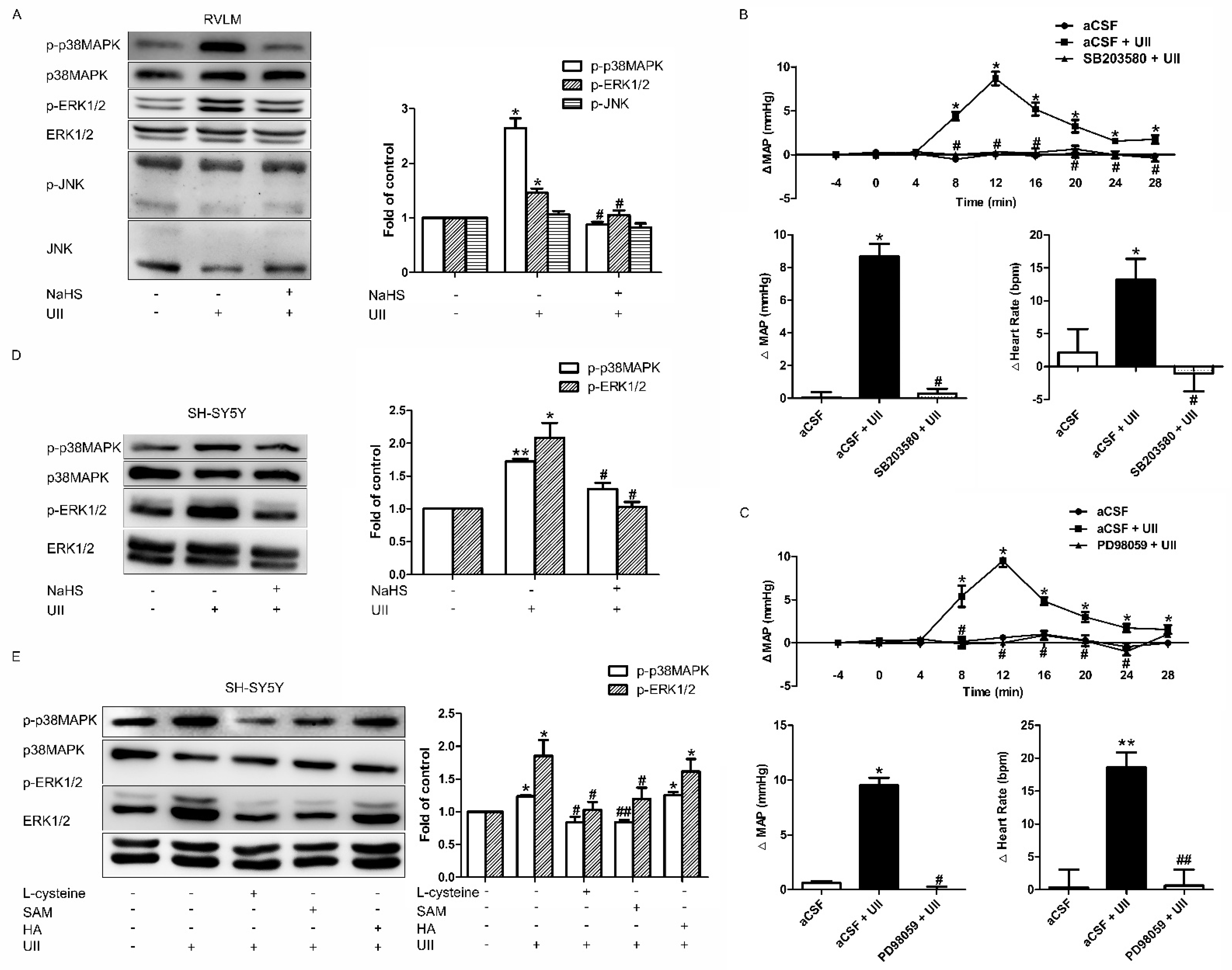 Antioxidants | Free Full-Text | The Inhibitory Role of Hydrogen Sulfide ...