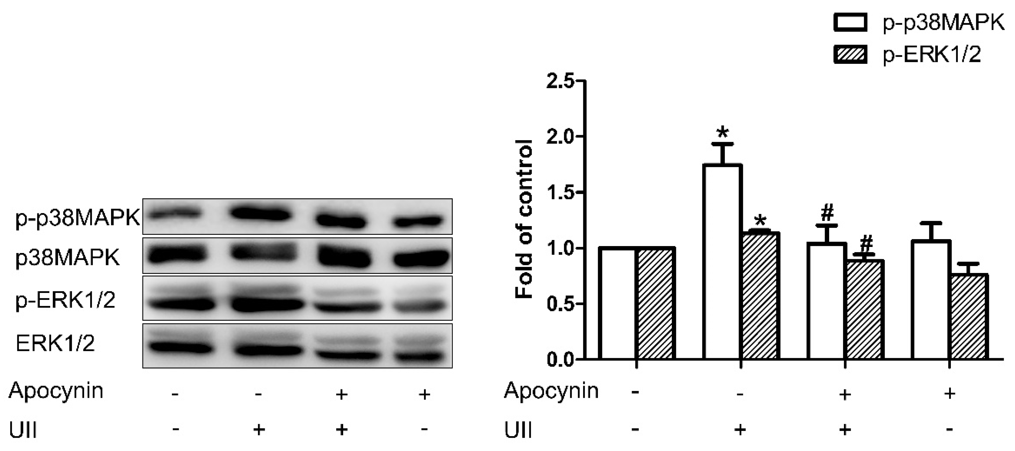 Antioxidants | Free Full-Text | The Inhibitory Role of Hydrogen Sulfide ...