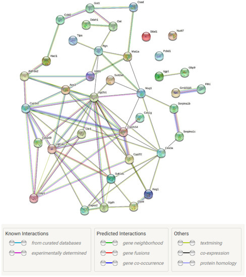 Antioxidants Free Full Text Sex Dependent Responses To Maternal
