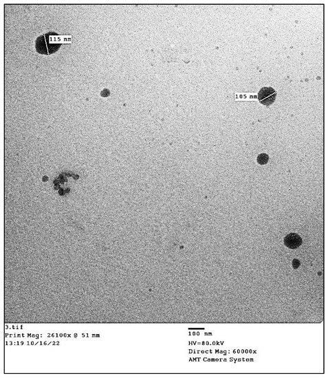 Mycosynthesis of Silica Nanoparticles Using Aspergillus niger: Control ...