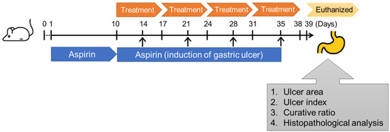 Gastroprotective Effect of Anisomeles indica on Aspirin-Induced Gastric ...