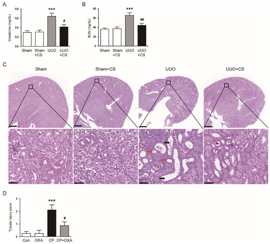 Protective Effects of Carnosol on Renal Interstitial Fibrosis in a ...