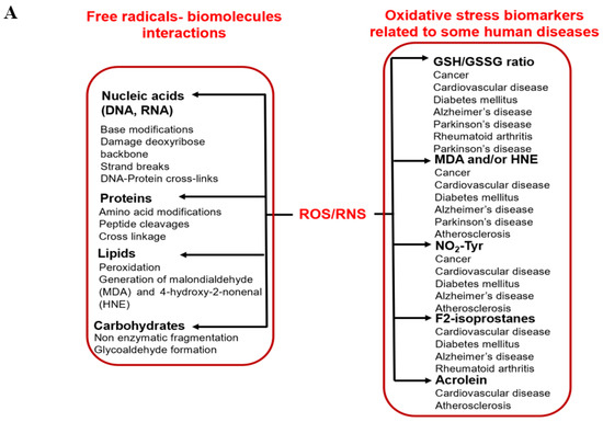 Oxidative Stress and Antioxidants—A Critical Review on In Vitro ...