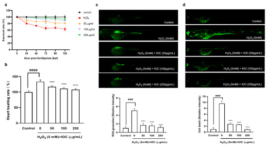 Cosmeceutical Effects of Ishige okamurae Celluclast Extract