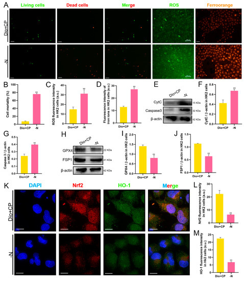 Antioxidants | Free Full-Text | Dioscin Protects against Cisplatin ...