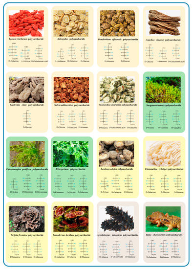 Antioxidant Activities of Natural Polysaccharides and Their Derivatives ...