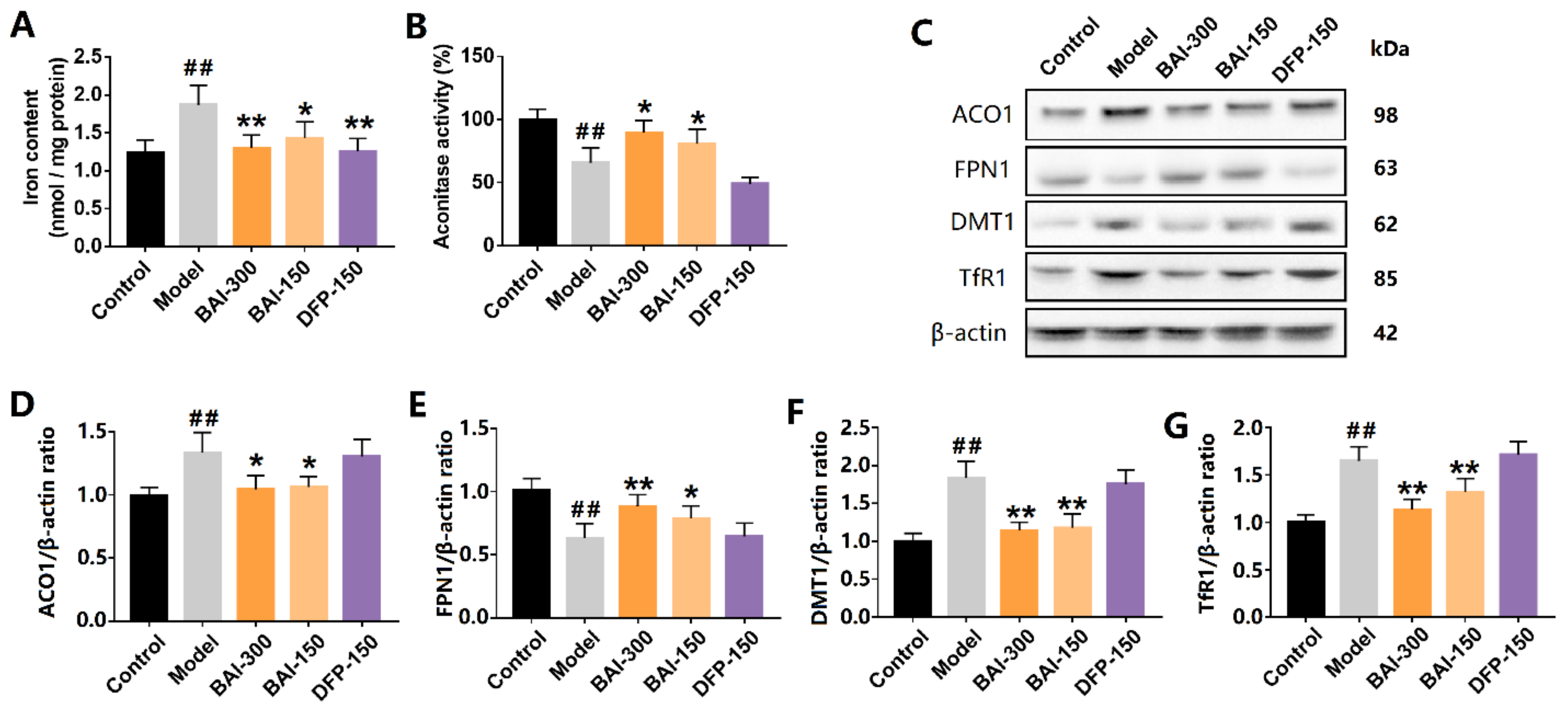Antioxidants | Free Full-Text | Baicalein Attenuates Brain Iron ...