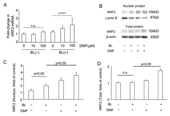 Dimethyl Fumarate Protects Retinal Pigment Epithelium from Blue Light ...