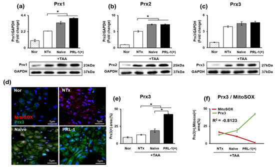 Phosphatase of Regenerating Liver-1 (PRL-1)-Overexpressing Placenta ...
