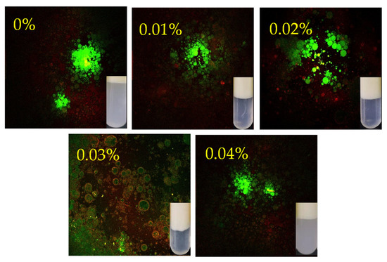 Physicochemical Properties and Oxidative Stability of an Emulsion Prepared from ...