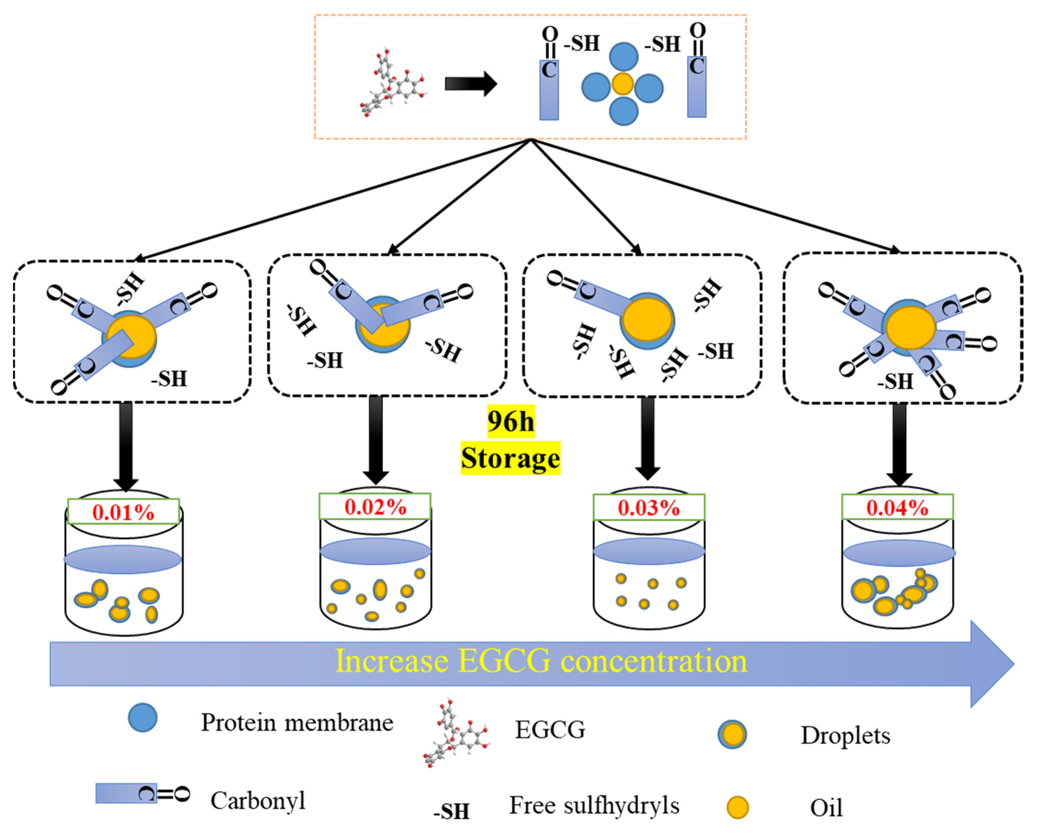 Physicochemical Properties and Oxidative Stability of an Emulsion Prepared from ...