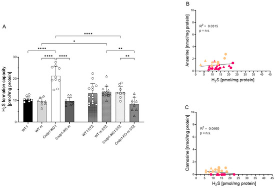 Antioxidants Free Full Text Anserine And Carnosine Induce Hsp70