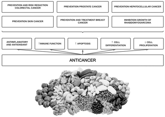 Phytate Intake, Health and Disease: “Let Thy Food Be Thy Medicine and ...