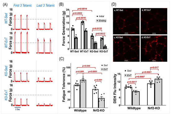 Quantitative Proteomics Identifies Novel Nrf2-Mediated Adaptative Signaling Pathways in Skeletal ...