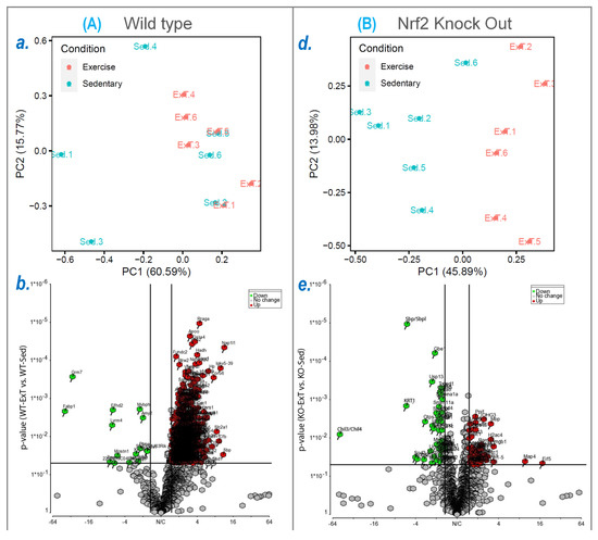 Quantitative Proteomics Identifies Novel Nrf2-Mediated Adaptative Signaling Pathways in Skeletal ...