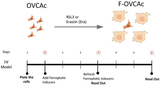 Study of Ferroptosis Transmission by Small Extracellular Vesicles in ...