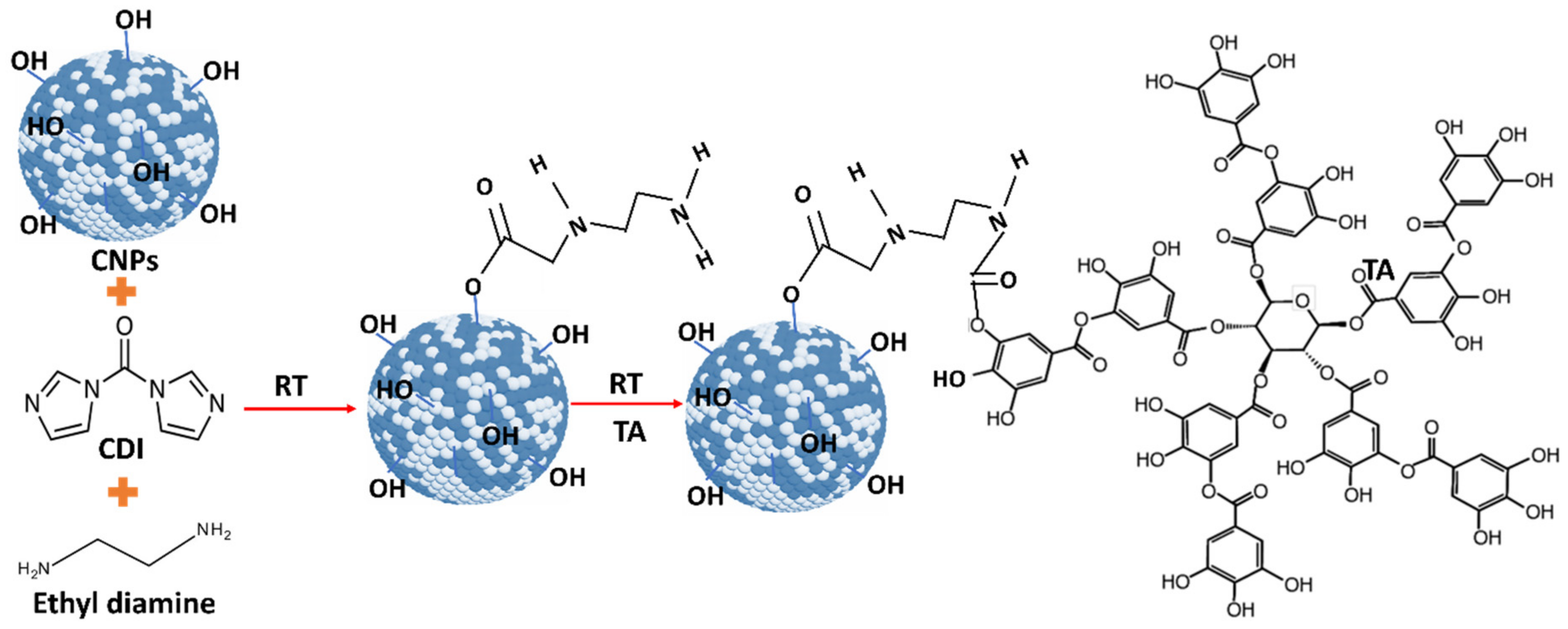Cerium Oxide Nanoparticles Conjugated with Tannic Acid Prevent UVB-Induced Oxidative Stress in ...