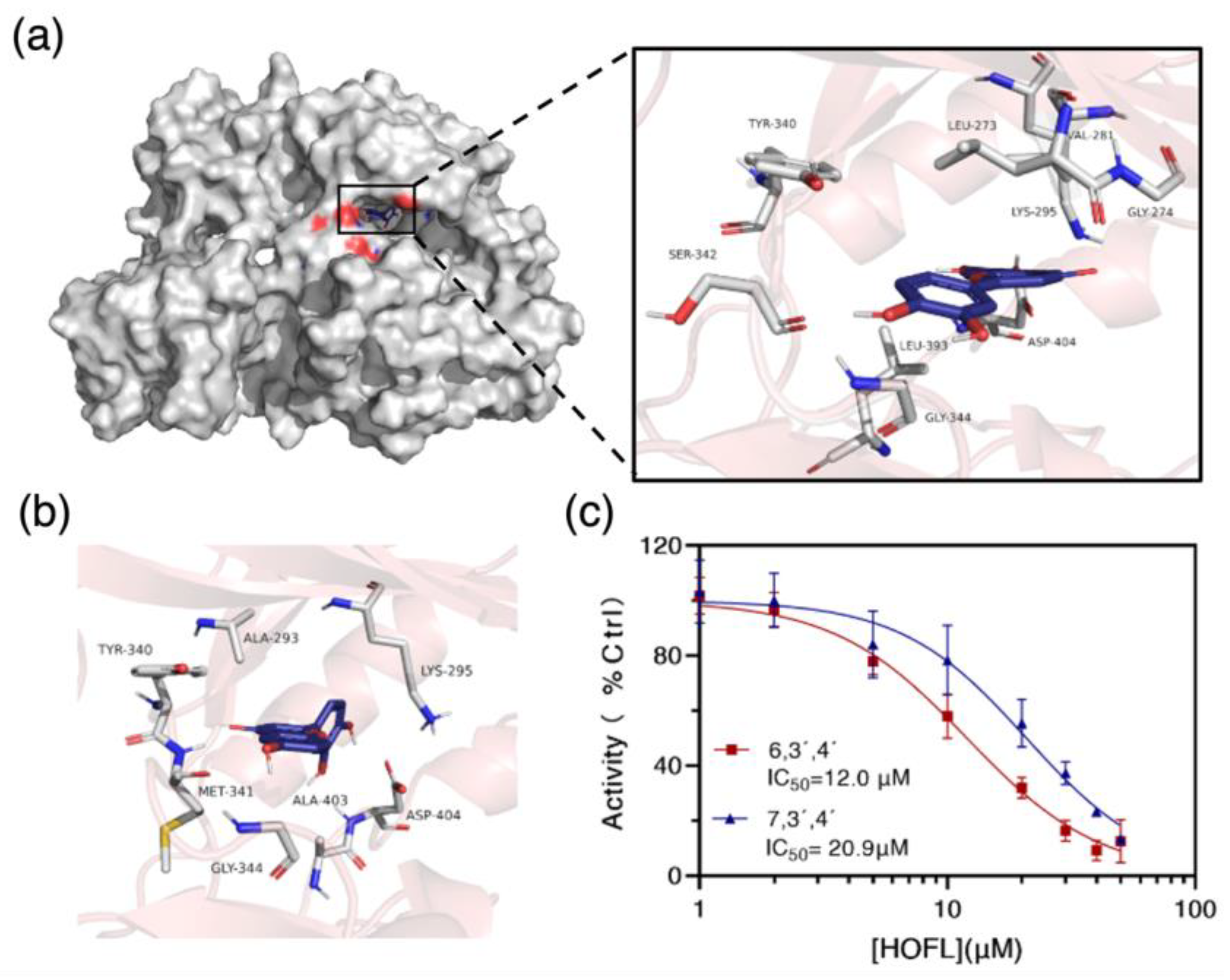 Antioxidants | Free Full-Text | Antioxidant and Anti-Inflammatory ...