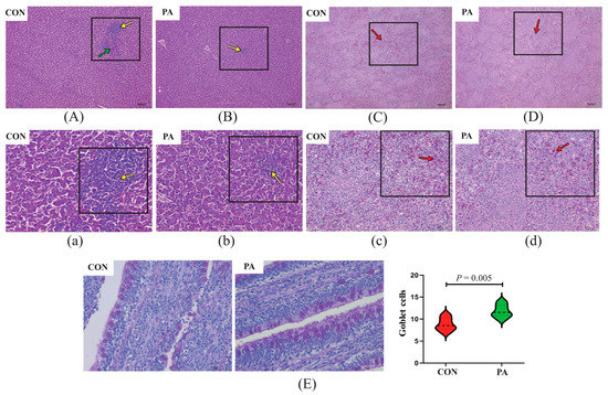 Screening and Characterization of Pediococcus acidilactici LC-9-1 ...