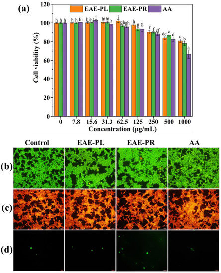 Antioxidants Free Full Text Comparative Analysis Of The Antioxidant