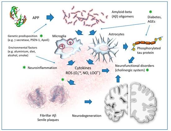Neuroprotective Potentials of Flavonoids: Experimental Studies and Mechanisms of Action