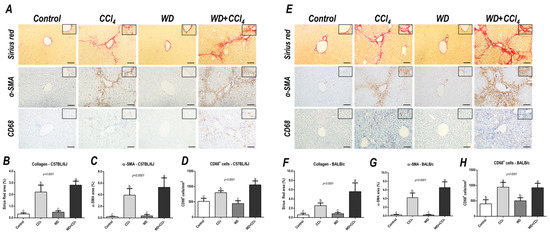 Unraveling Hepatic Metabolomic Profiles and Morphological Outcomes in a ...