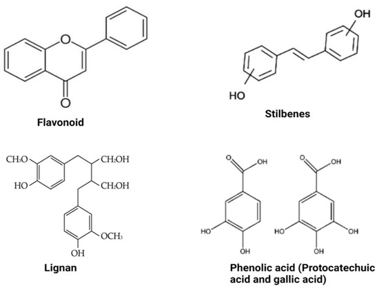 Antioxidants Free Full Text Insights On Dietary Polyphenols As