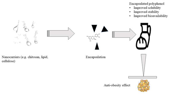 Insights on Dietary Polyphenols as Agents against Metabolic Disorders ...