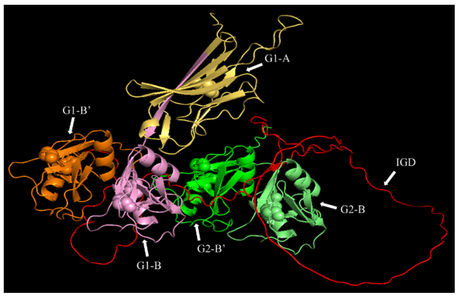 Hypochlorous Acid and Chloramines Induce Specific Fragmentation and ...